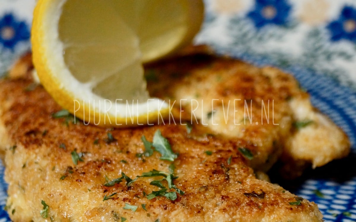 Rode kool schotel (2 pers.) - Puur en Lekker leven